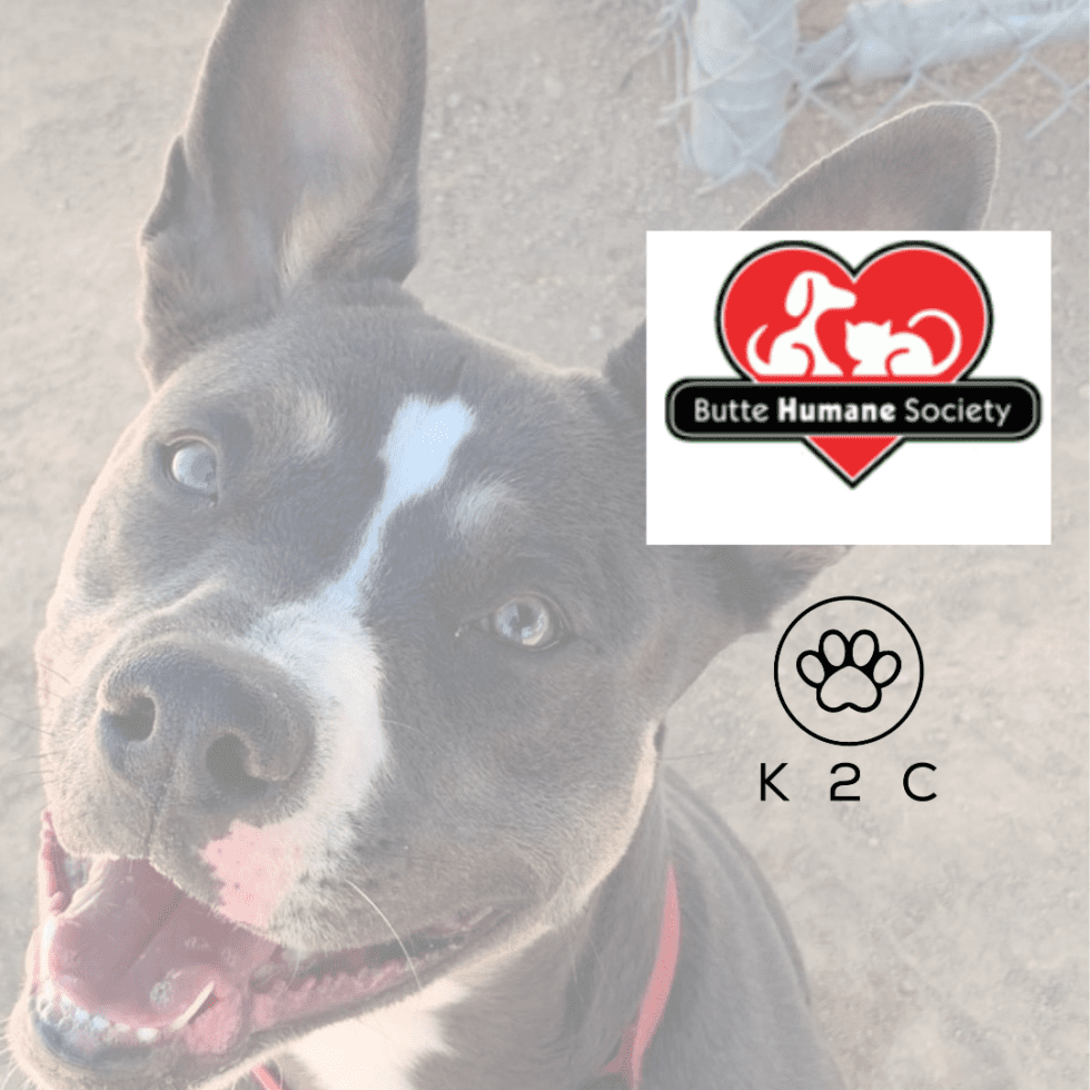 K2C Expands to California, Partners with Butte Humane Society! - Kennel ...
